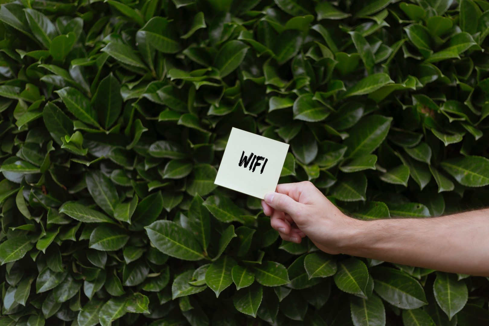 How to Block WiFi in Your Child's Room - The Digital Parents
