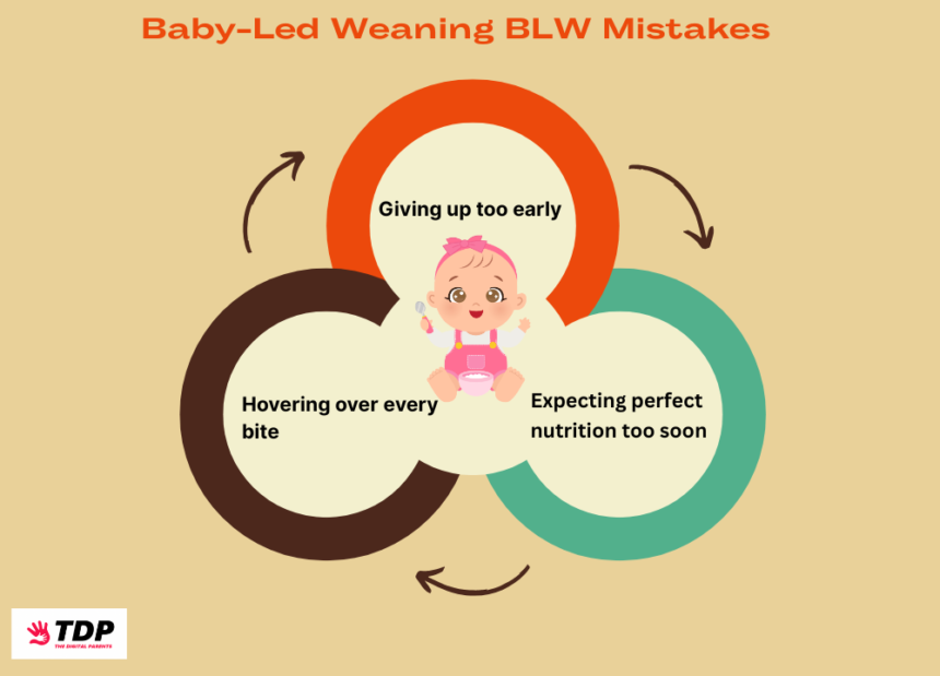 Baby-Led Weaning - What Parents Must Know - The Digital Parents